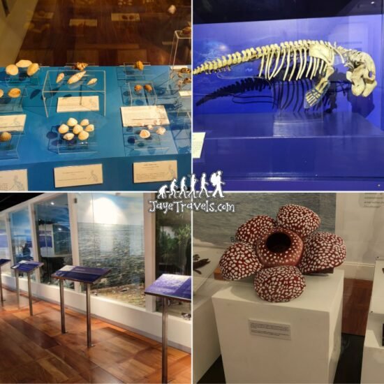 National Museum PH: Entrance Fees, Tips, and Guide