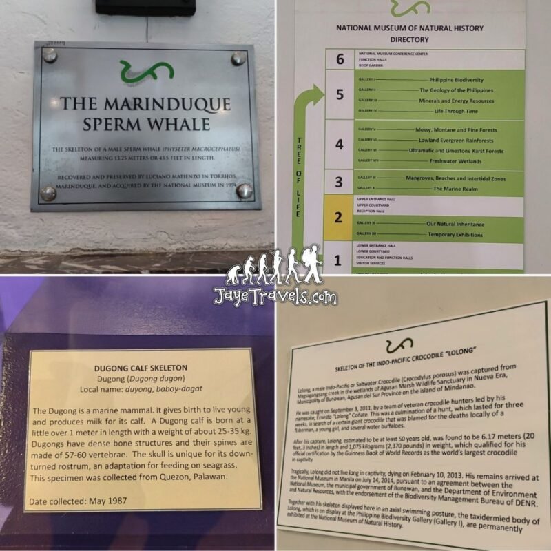 National Museum PH: Entrance Fees, Tips, and Guide